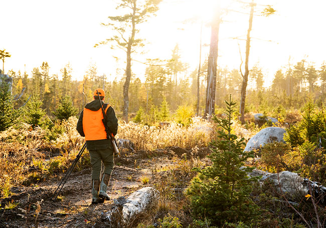 How to Start Hunting: Key Steps to Take Before Your First Trip ...